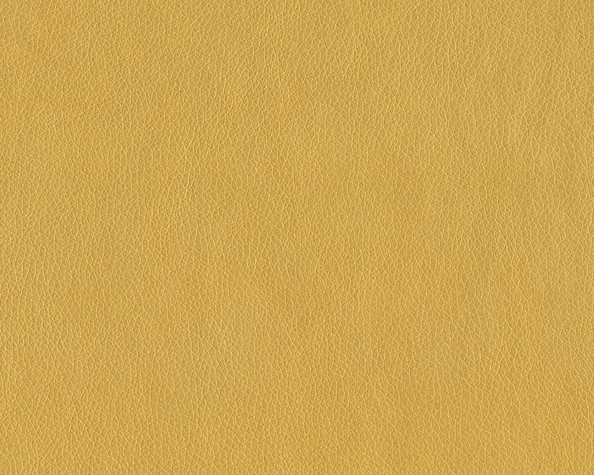 Kunstleder EDOUARD, feine Narbung, goldgelb metallic, 24,99