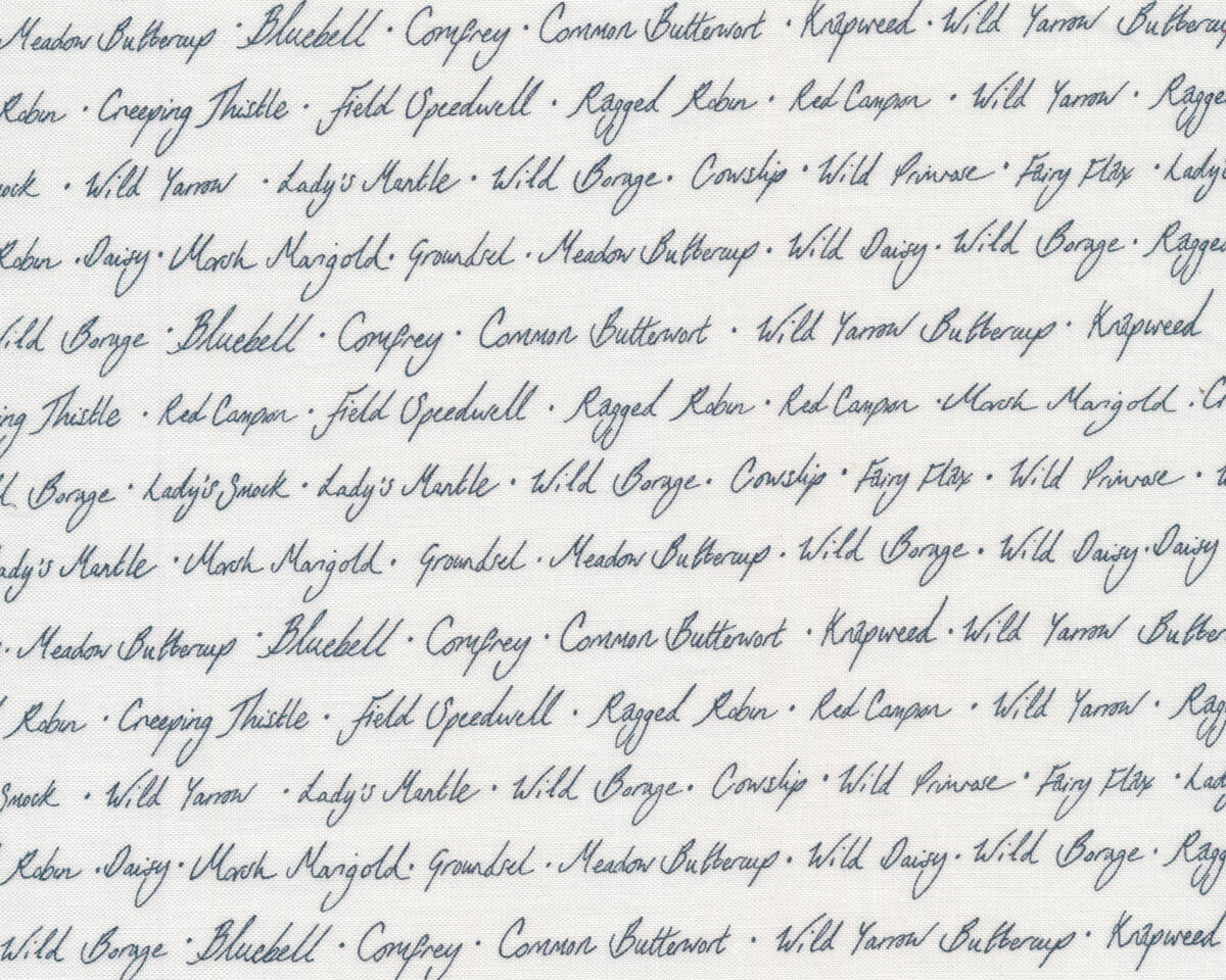 Patchworkstoff MIDSUMMER, Schrift, wollweiß, Windham Fabrics, 23,99